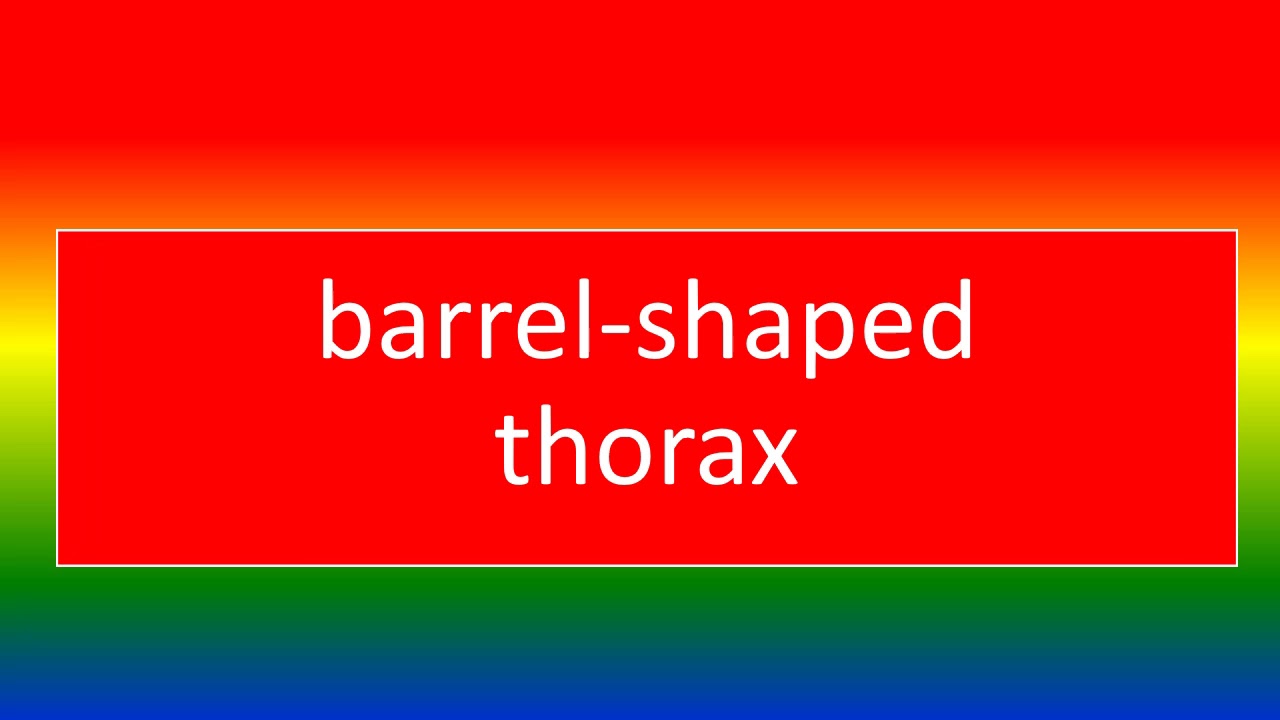 BARREL-SHAPED THORAX - YouTube