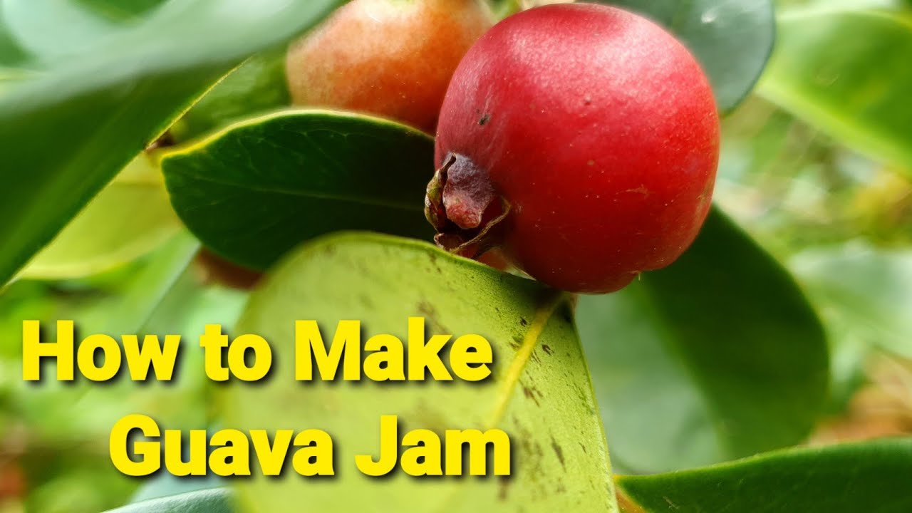 How to Make Guava Jam / Cherry Guava Jam - YouTube