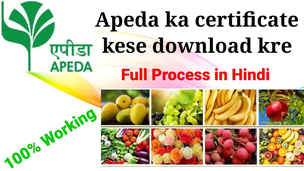 How To Download APEDA Certificate Export Import Business Gs Skills - YouTube