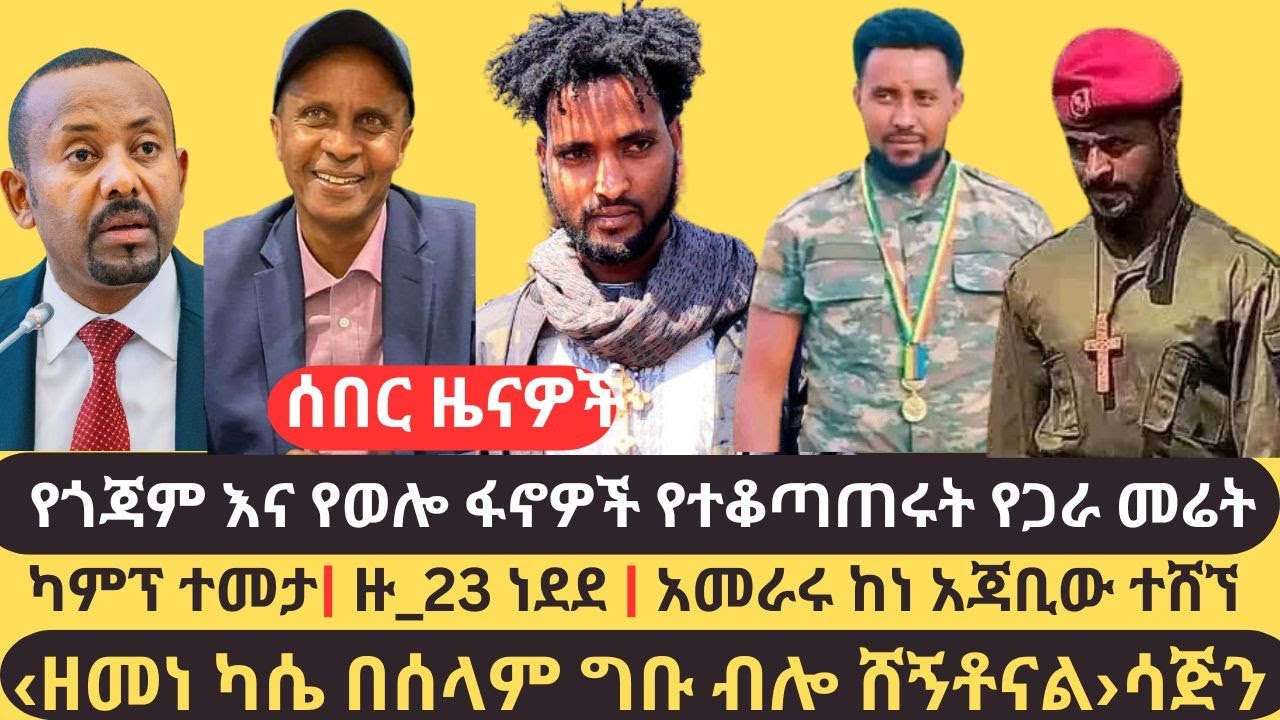 ሰበር ዜናዎች | የጎጃም እና የወሎ ፋኖዎች የተቆጣጠሩት የጋራ መሬት | በፌደራል ፍርድ ቤት የተሰማው የፋኖ ...