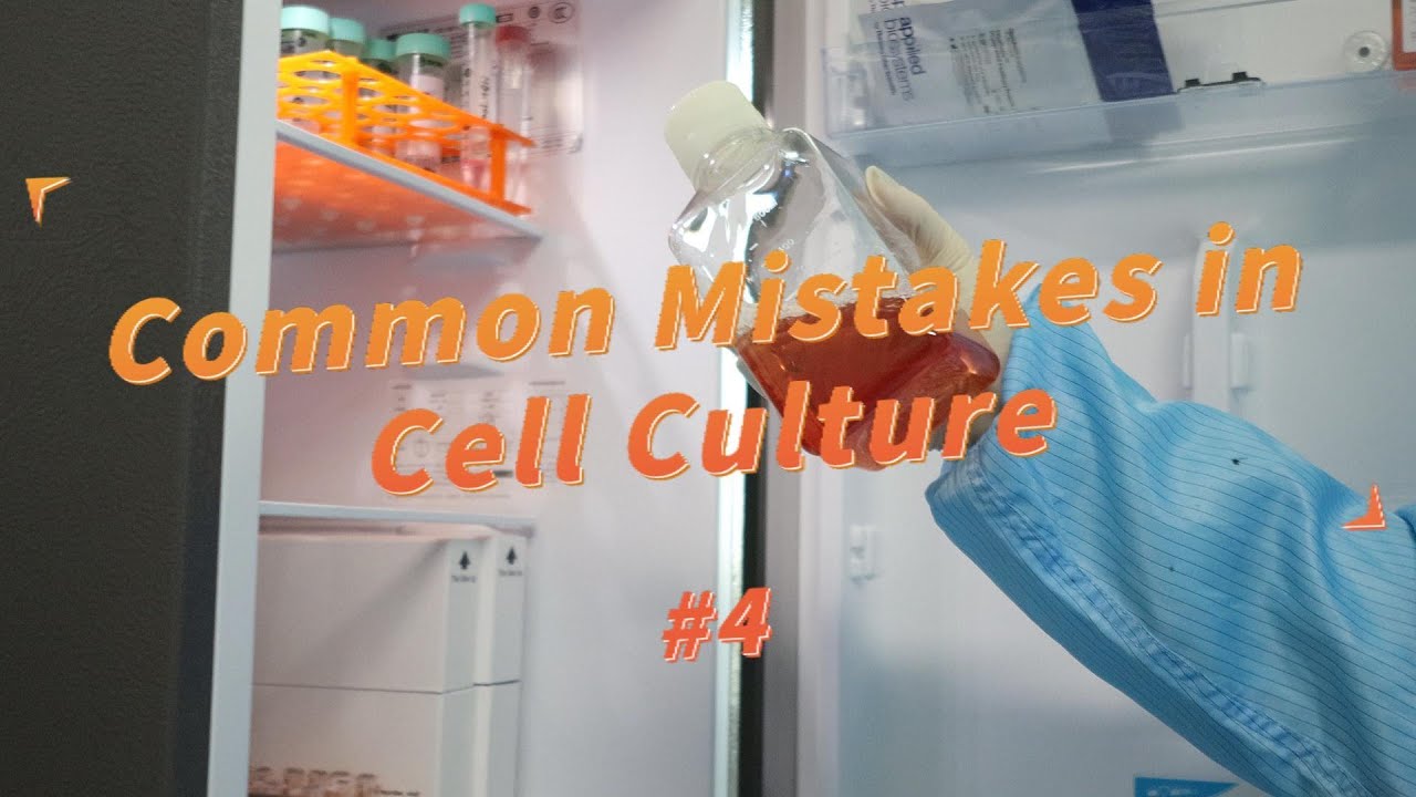 Common Mistakes in Cell Culture #4 - YouTube