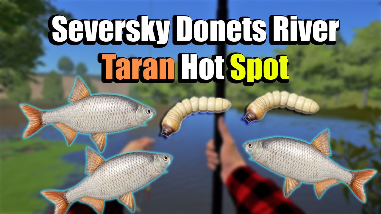 Taran Hot Spot - Seversky Donets River - Russian Fishing 4#437 - YouTube