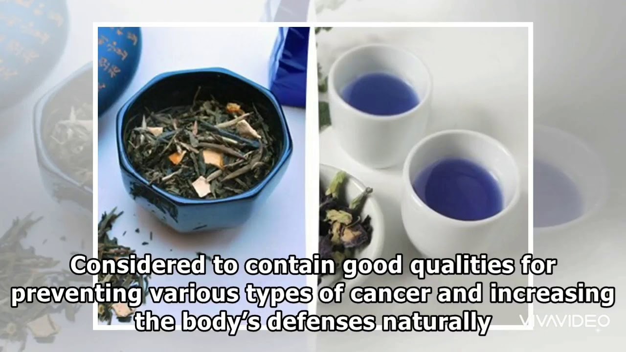 BUTTERFLY PEA TEA | BLUE TERNATEA | BENEFITS | - YouTube