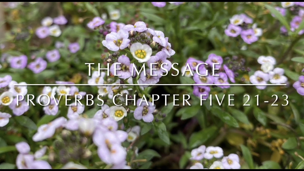 Proverbs 5:21-23 - “Mark well that GOD doesn't miss a move you make; he ...