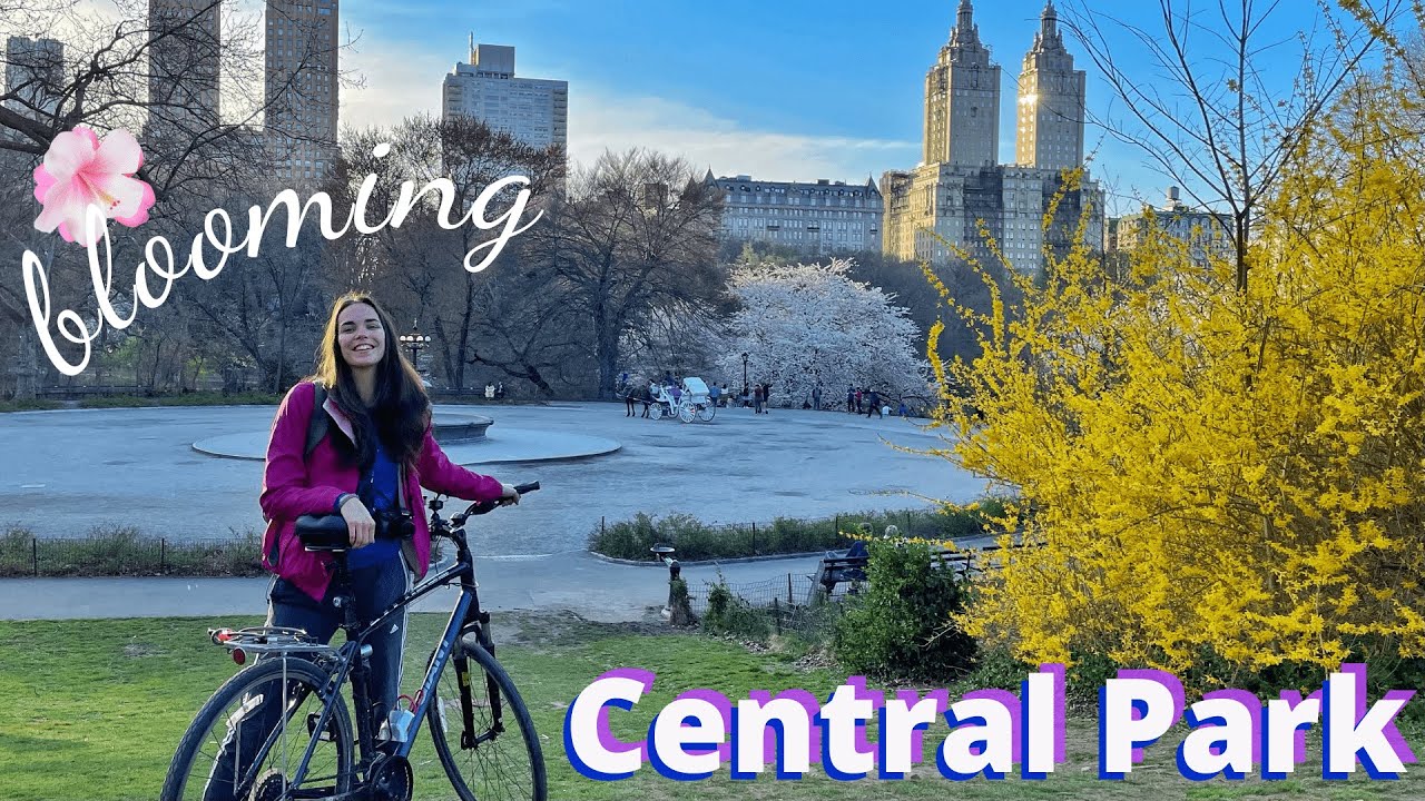 BLOOMING CENTRAL PARK 🌸 🚲 - YouTube