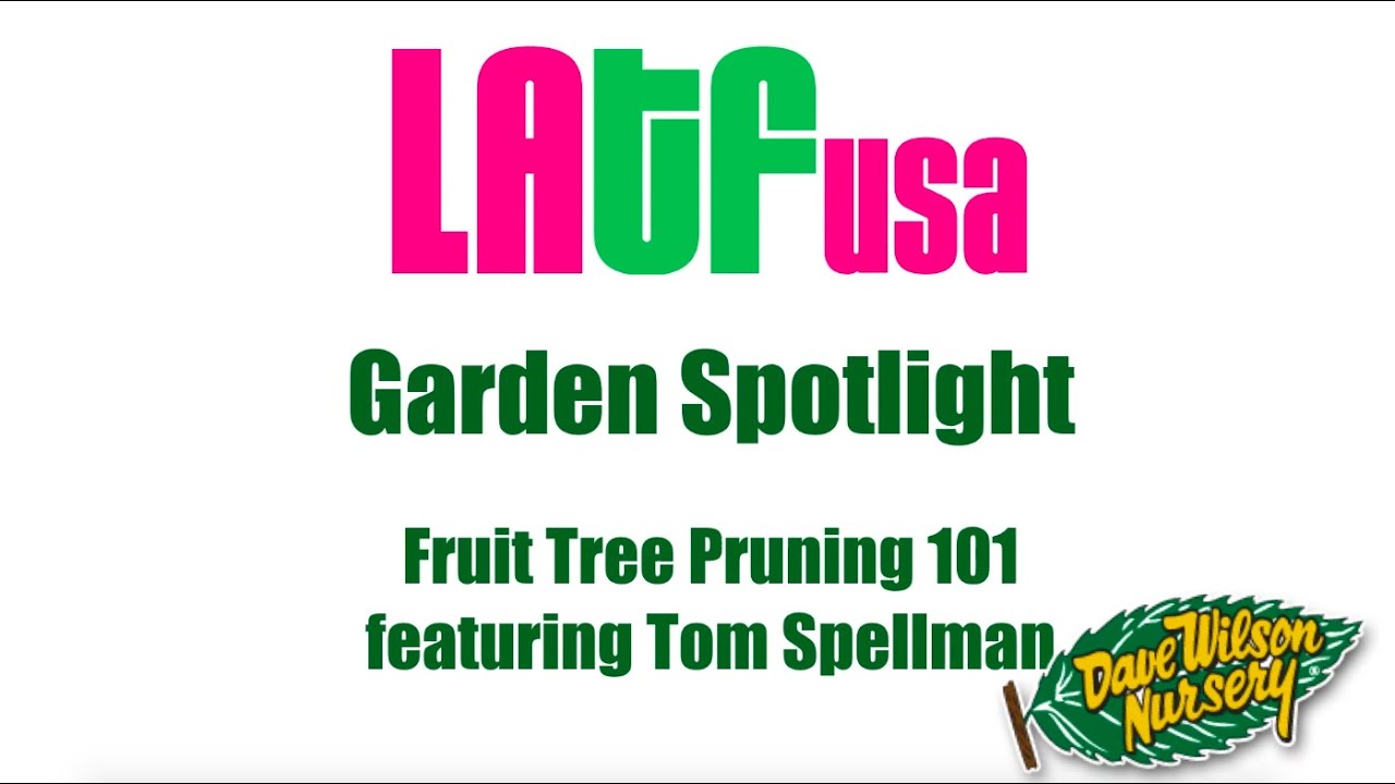 Part I: How To Prune Your Fruit Tree with Tom Spellman - YouTube