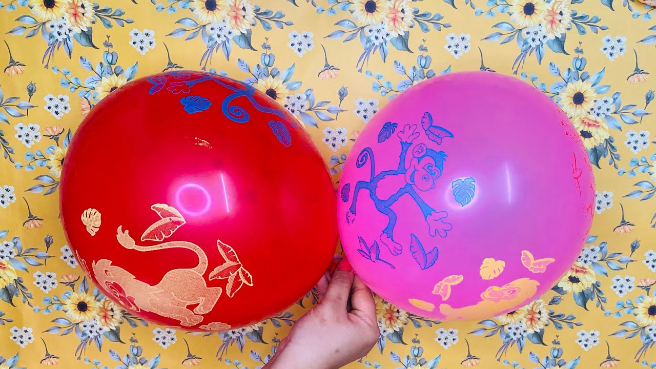 Balloon pop | animal printed balloon pop | balloon pop show - YouTube