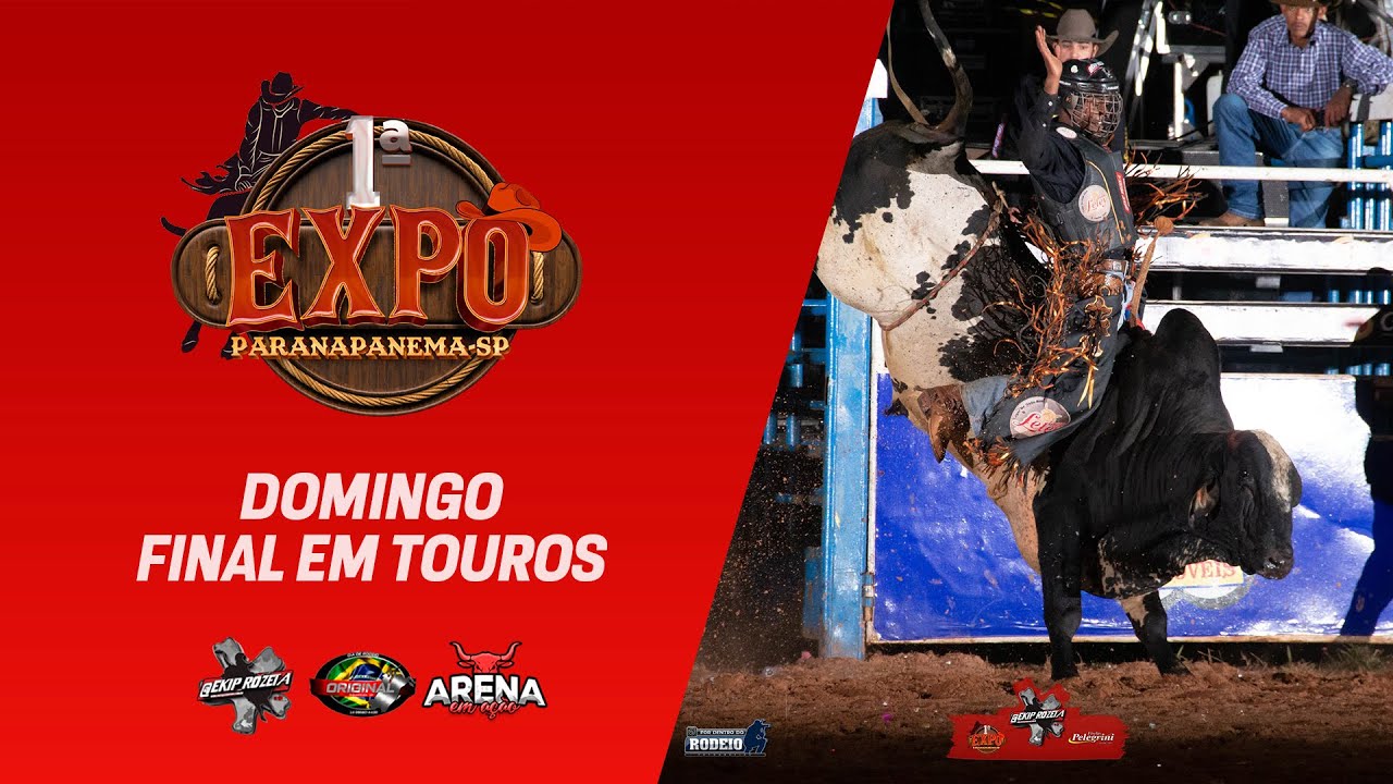 Touros De Rodeio Em Acao A Emoção Do Rodeio Chega Ao Fim Neste