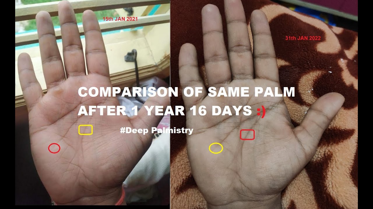 Comparison of same palm after 1 year || Deep Palmistry || - YouTube