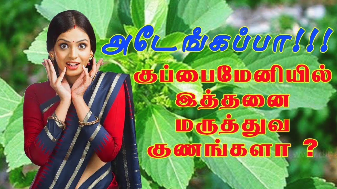 அடேங்கப்பா!!! குப்பைமேனியில் இத்தனை மருத்துவ குணங்களா? Kuppai Meni ...