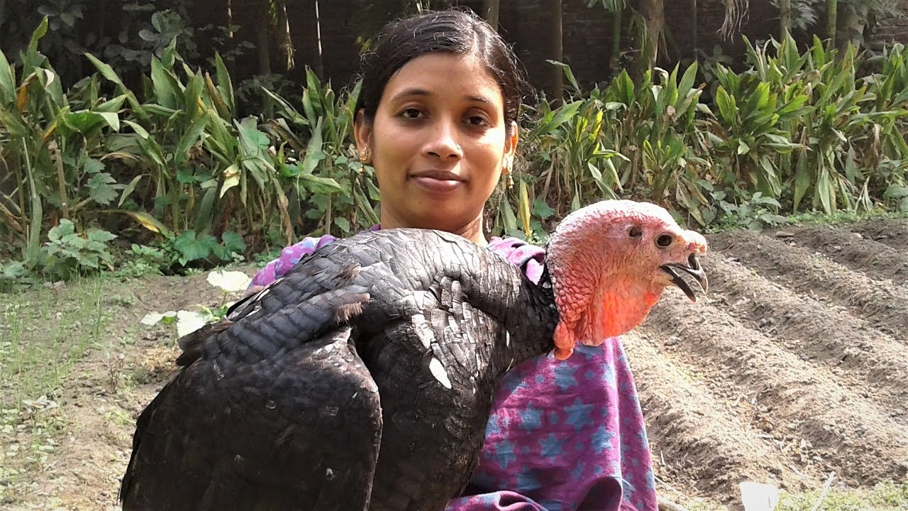 Turkey Curry Recipe | How To Cook Turkey | Village Style Cooking By ...