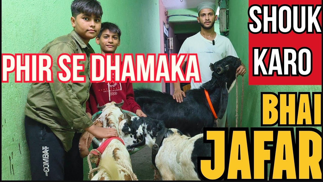 Dhamaka Quality Tayyari Wale Chiz Chanas Me Loot Lo Aur Shouk Karo ...