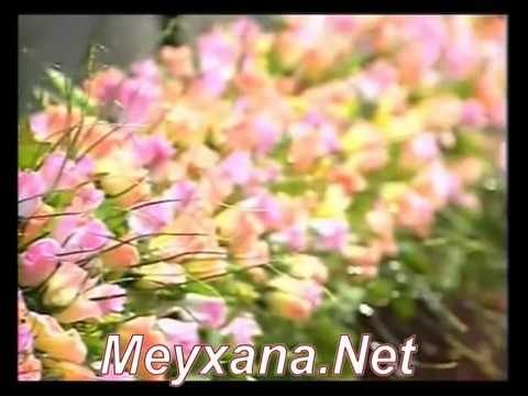 Qezel arif buzovna