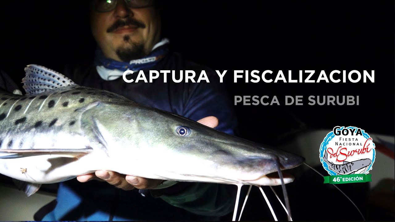 Captura en la Fiesta Nacional del Surubi Lado B - YouTube
