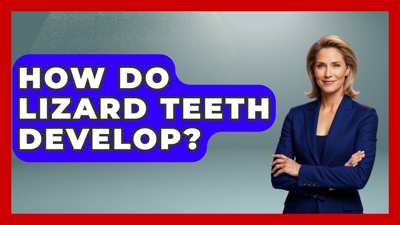 How Do Lizard Teeth Develop? - Reptilian Wonders - YouTube