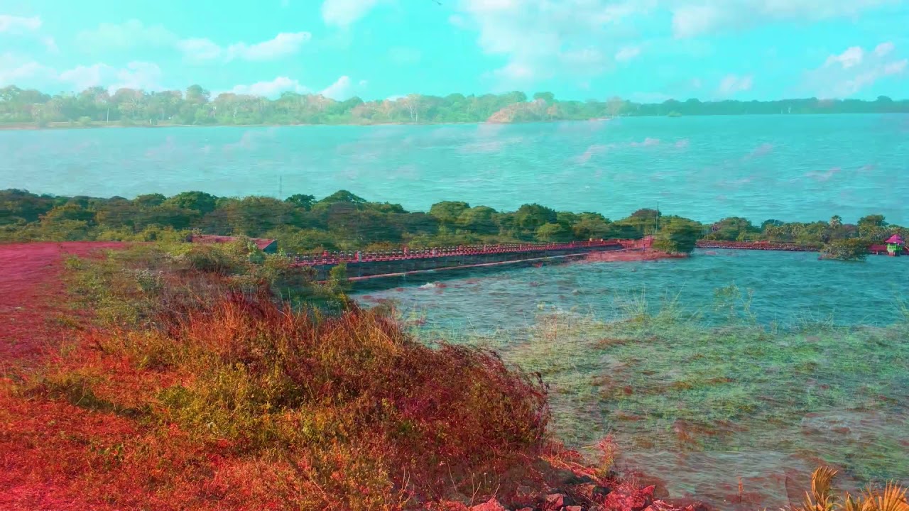 Mallavi Vavunikkulam Seen Beautiful Places in Sri Lanka - YouTube