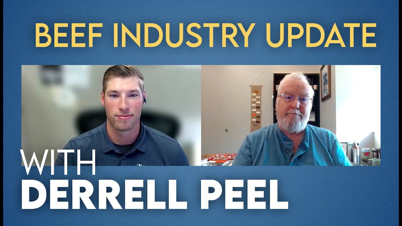 Beef Industry Dynamics Update with Derrell Peel - YouTube