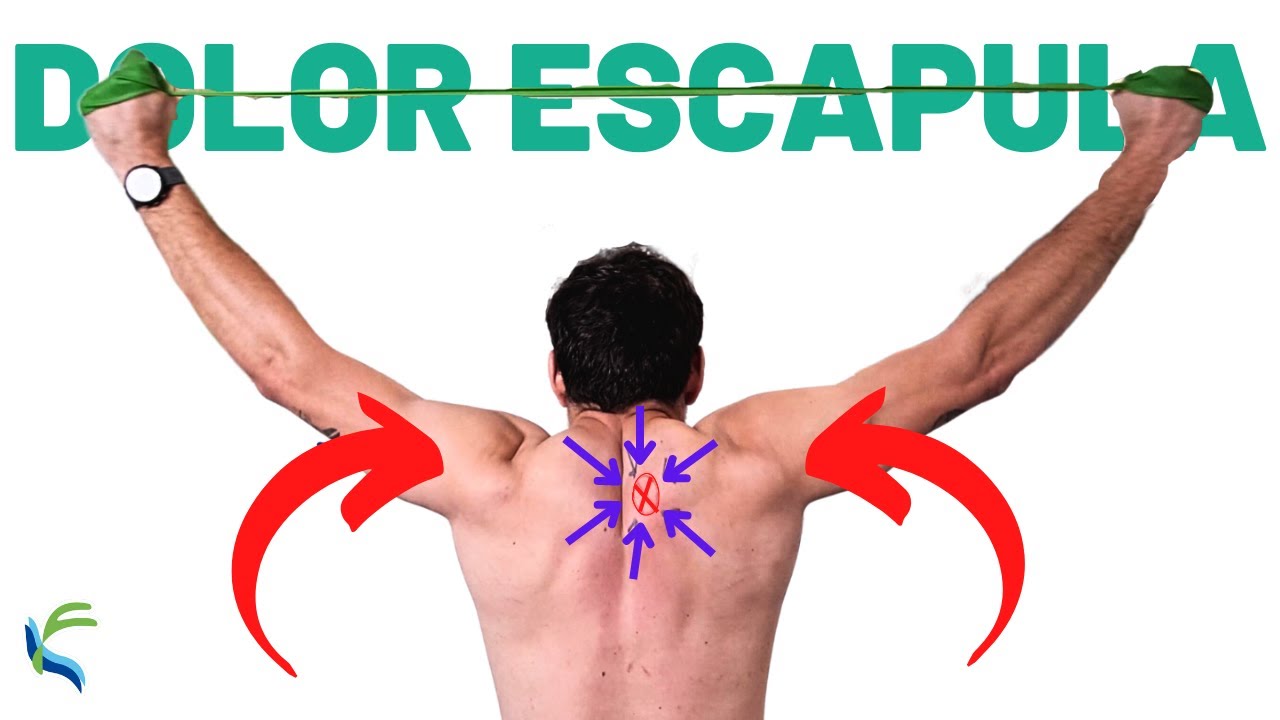 ¿DOLOR de omóplato 😖? 5 ejercicios efectivos para aliviar el dolor de ...