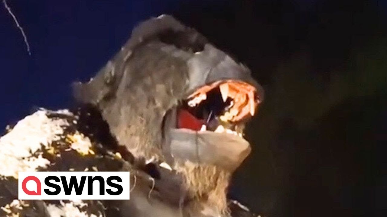 Dad builds giant Halloween installations every year in his front yard ...