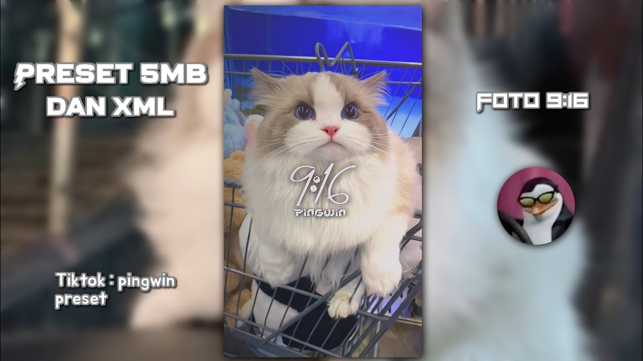 Preset 5 mb dan Xml 🎟️ DJ Aca aca nehi nehi Preset cek komen jangan lupa subscribe :) - YouTube