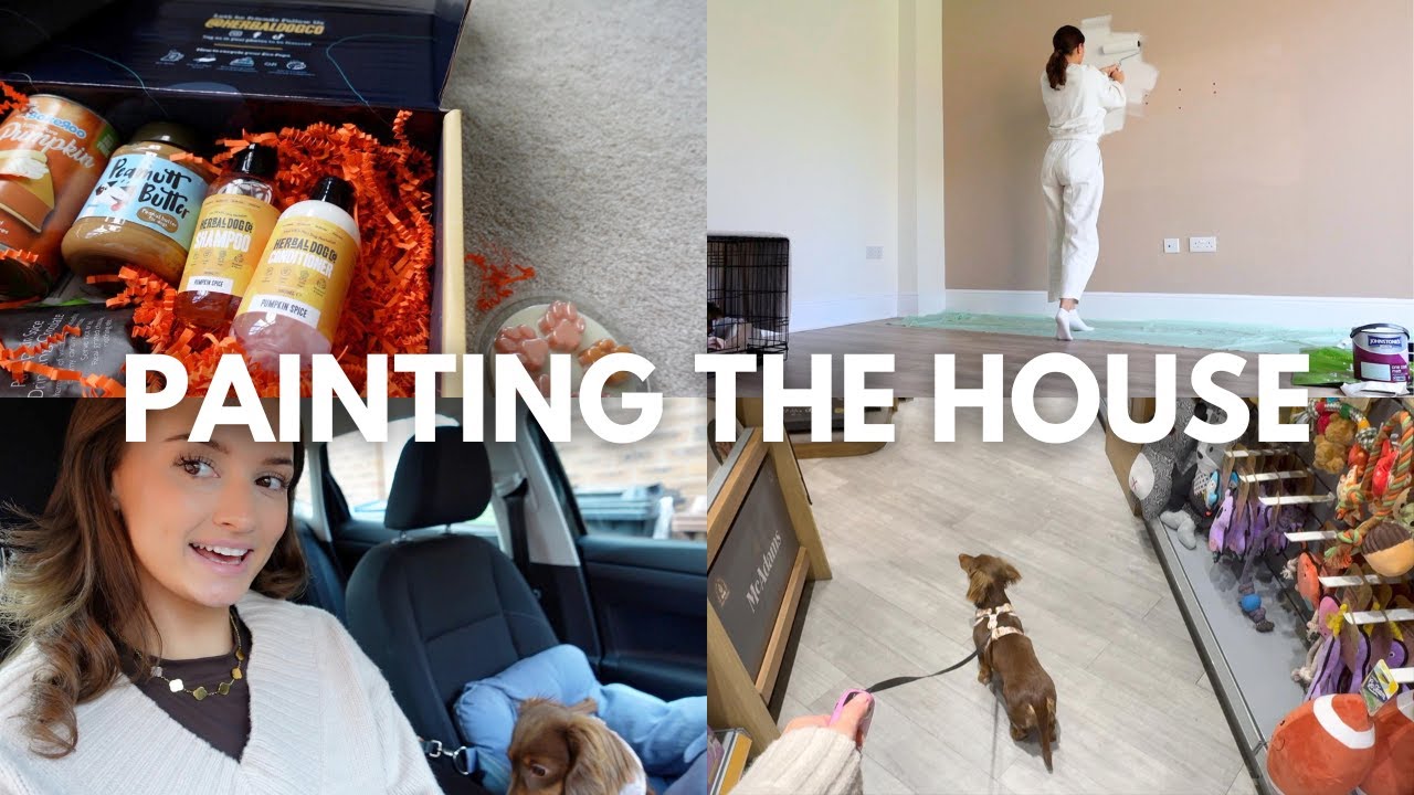 VLOG: painting the house, pets corner w my sausage dog, pr packages ...