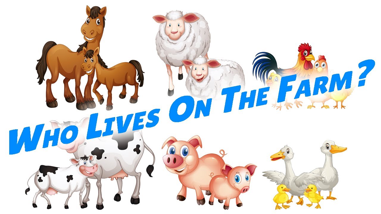 Farm Animal Sounds | Cow, Horse, Pig, Rabbit, Cat, Chickens, Goose ...