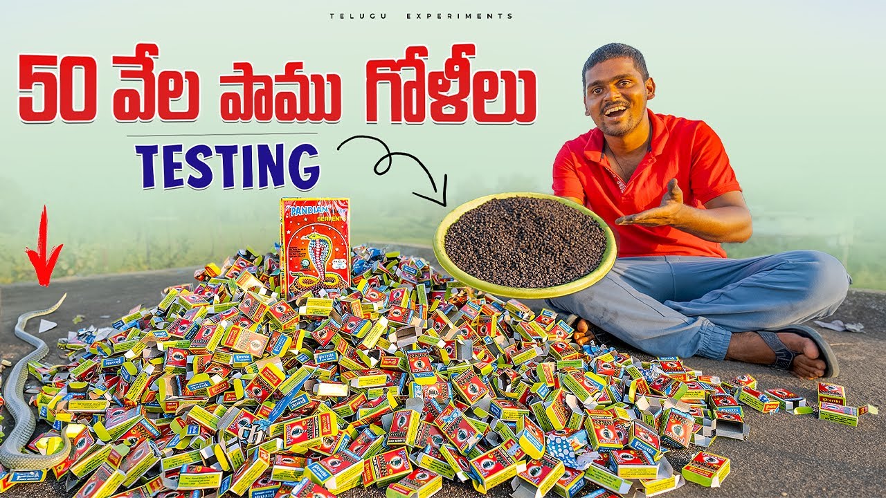 50,000 Diwali Snake Bombs 🐍 Experiment 🔥 Worlds Largest Snake Bomb ...