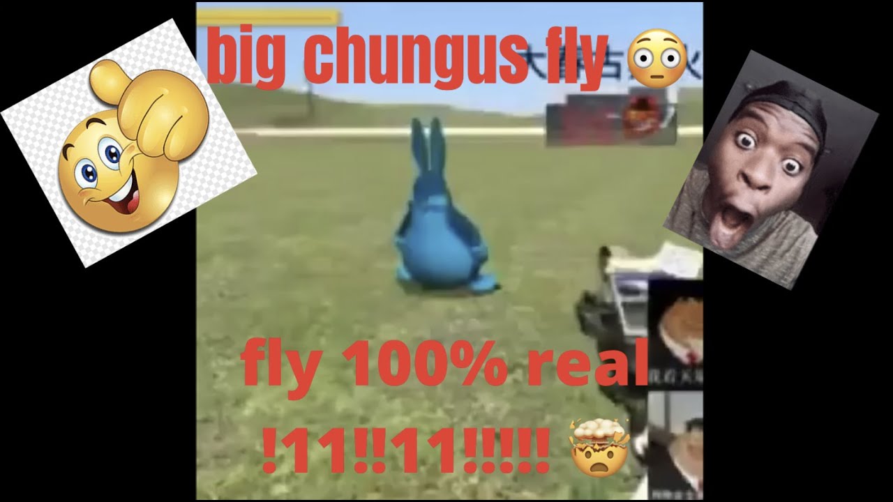 Big Chungus fly 100% real !!11!1!!! 😳 - YouTube