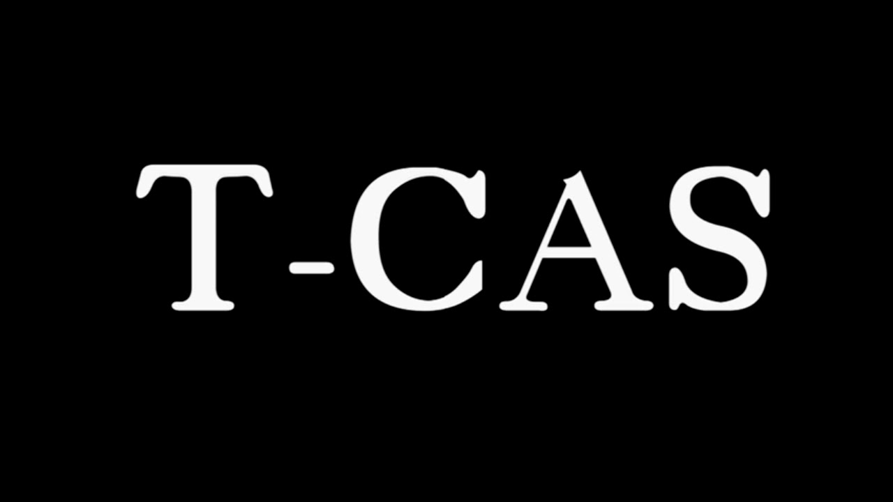 Warnings, GPWS and TCAS of the Boeing 787 - YouTube