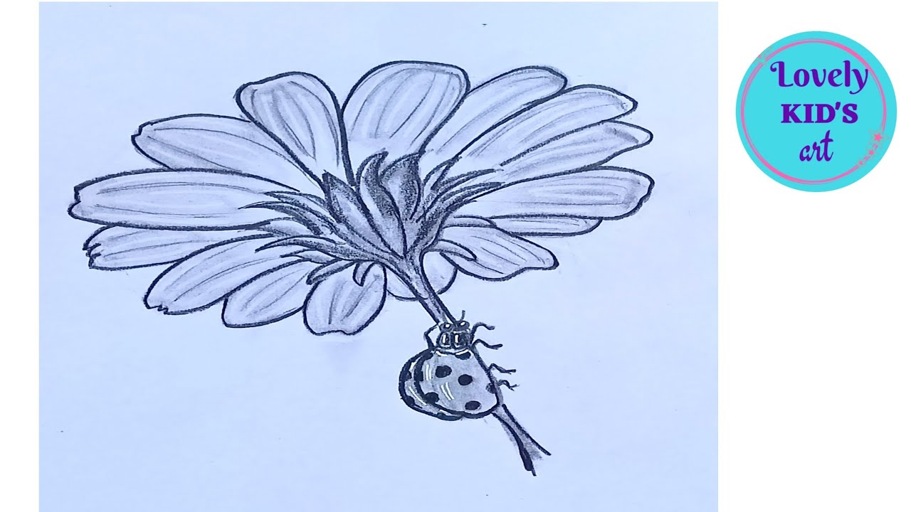 Flower and ladybug pencil sketch drawing for beginners || easy drawing ...