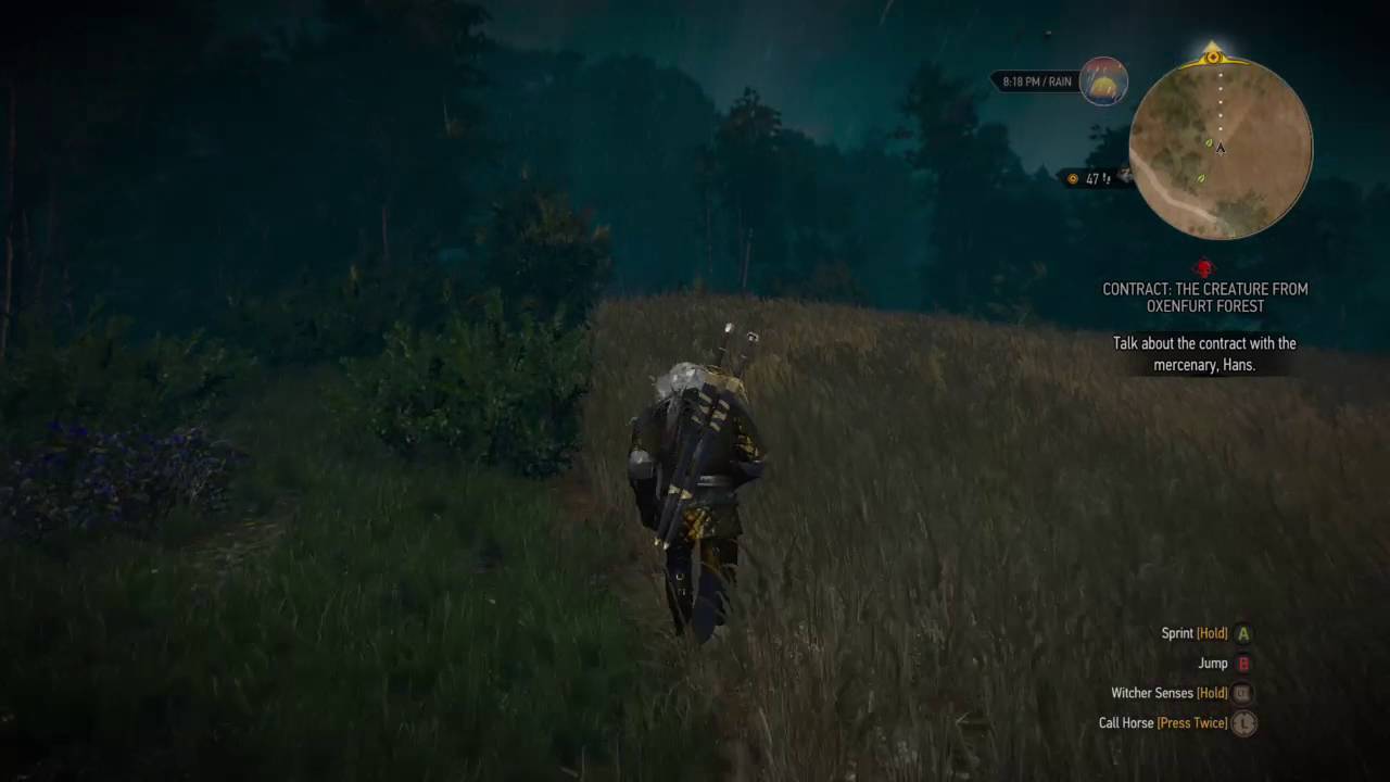 The Witcher 3: Wild Hunt Weird - YouTube
