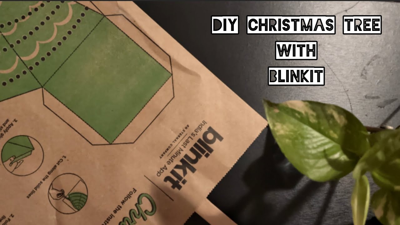 DIY Christmas Tree with Blinkit | Unscripted chit-chat on Goals 2026 ...