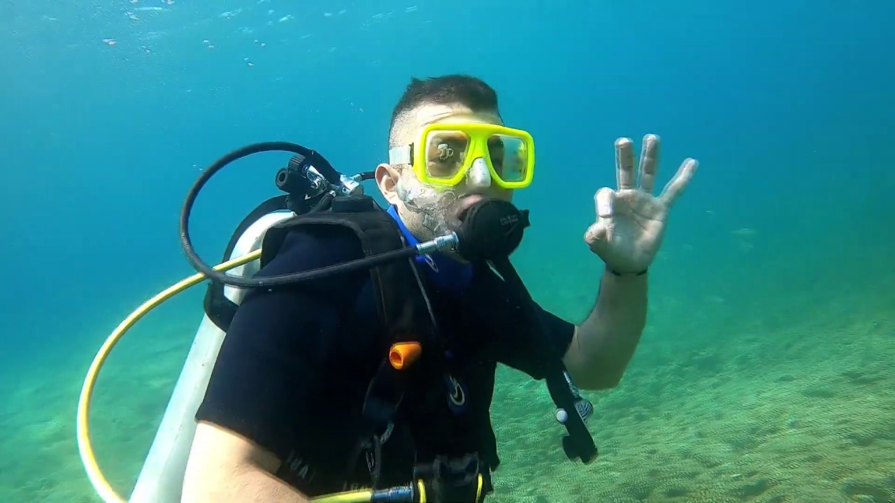 Buceo en Huatulco, disfrutando el arrecife de coral - YouTube