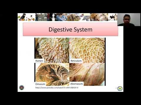 09 AAS 101 Introduction to Animal Science Lesson 9 Digestive System ...