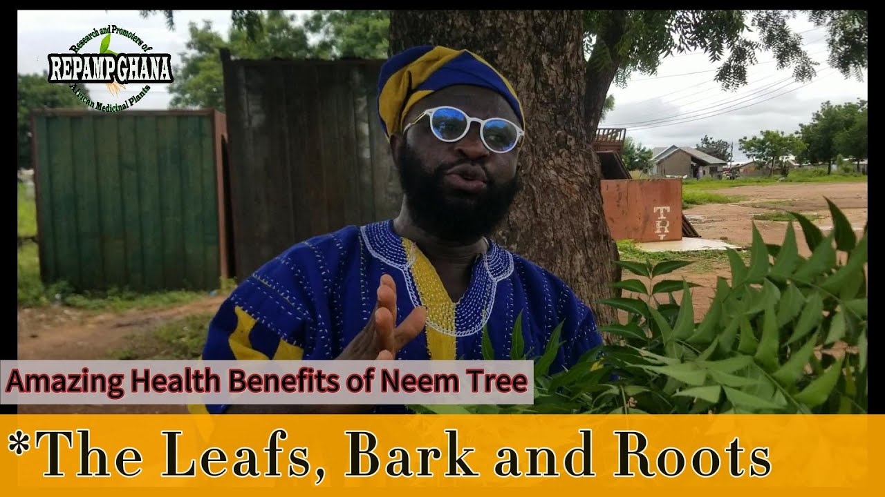 Health Benefits of Neem Tree - YouTube