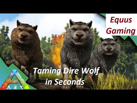 Ark Survival | How to Tame Dire Wolf within Seconds - YouTube