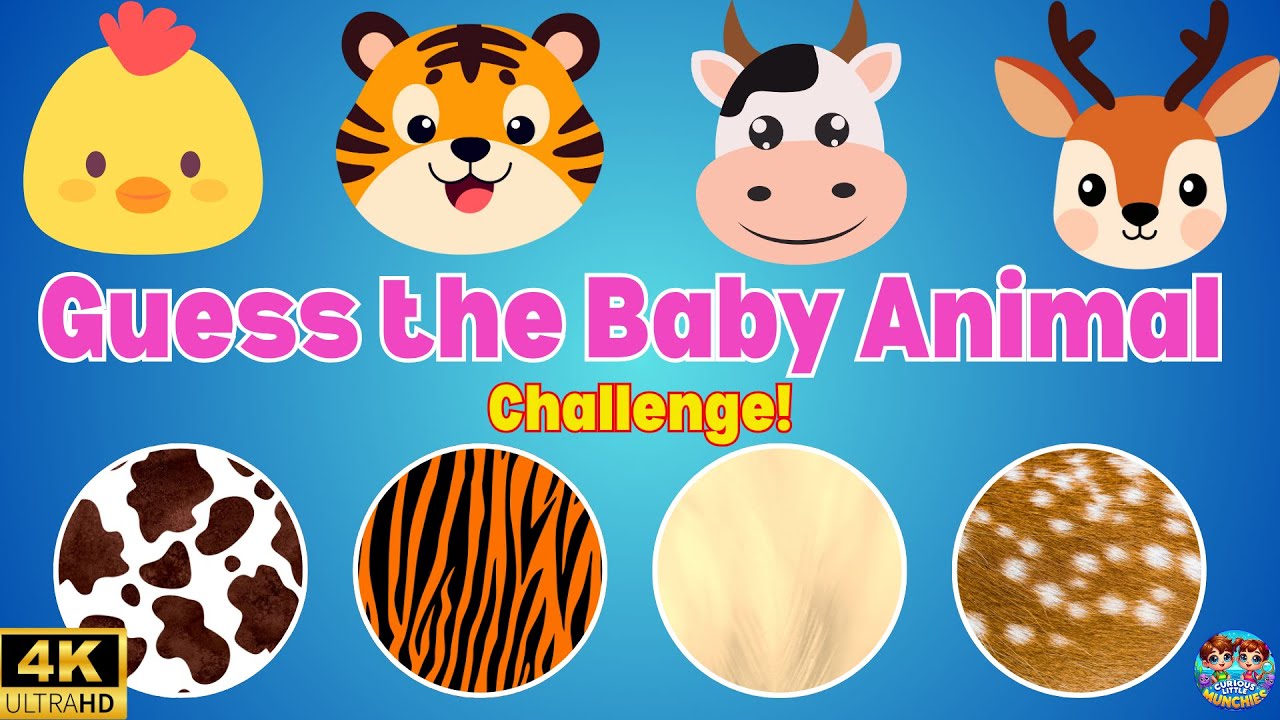 Guess the Baby Animal Challenge! 🐾 Can You Name All These Cute Baby ...