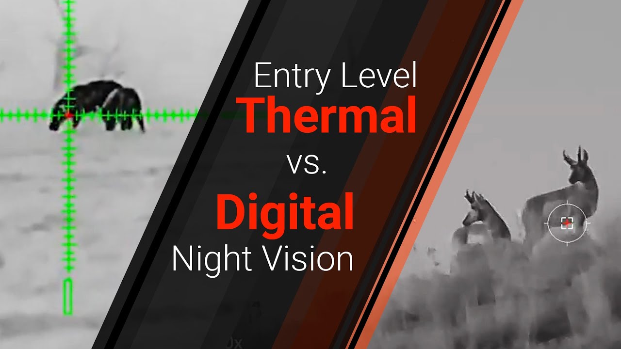 Thermal vs Night Vision Scopes: Which One Should You Buy First? | Pros ...