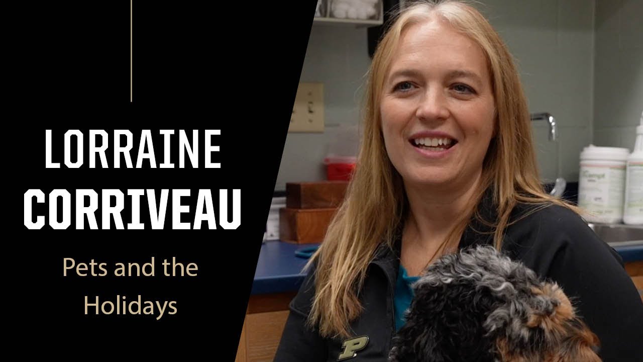 Purdue Expert: Pets and the Holidays - YouTube