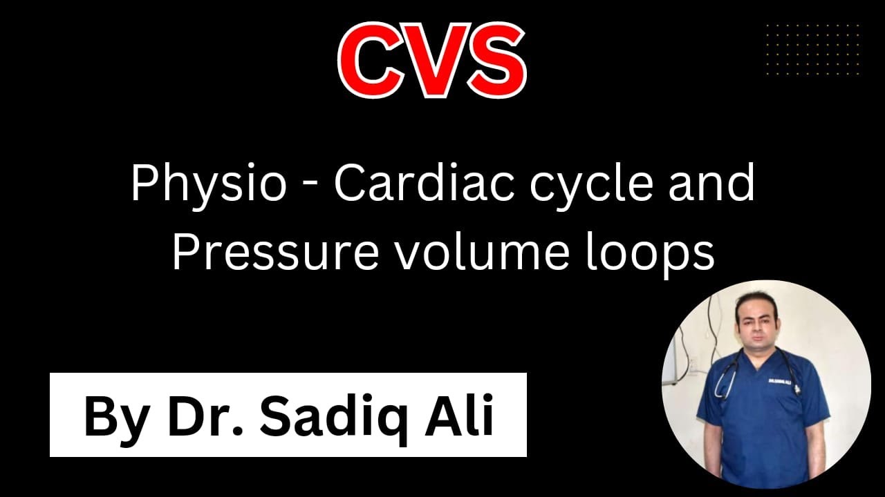 CVS Physio Cardiac Cycle & Pressure Volume Loops - YouTube
