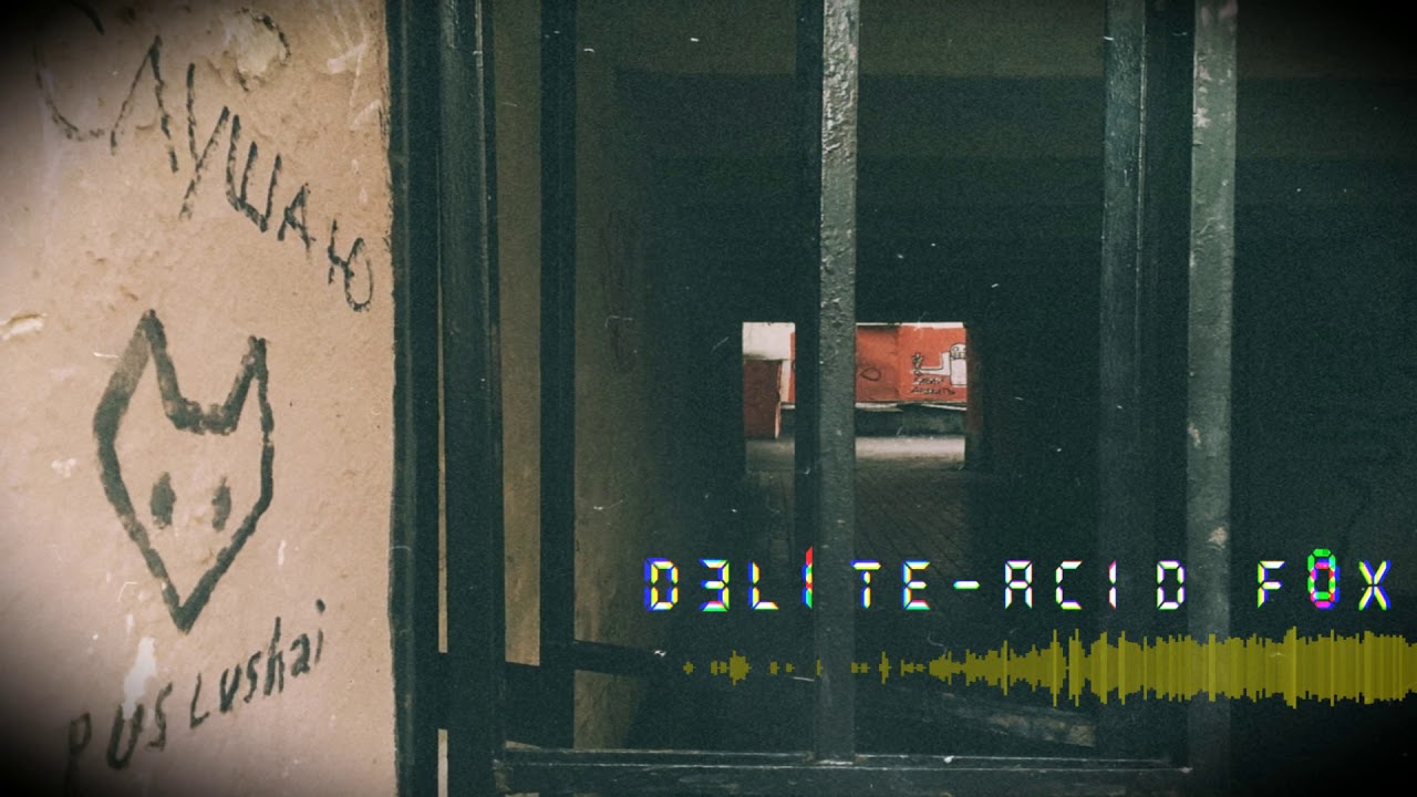 D3LITE- acid fox - YouTube