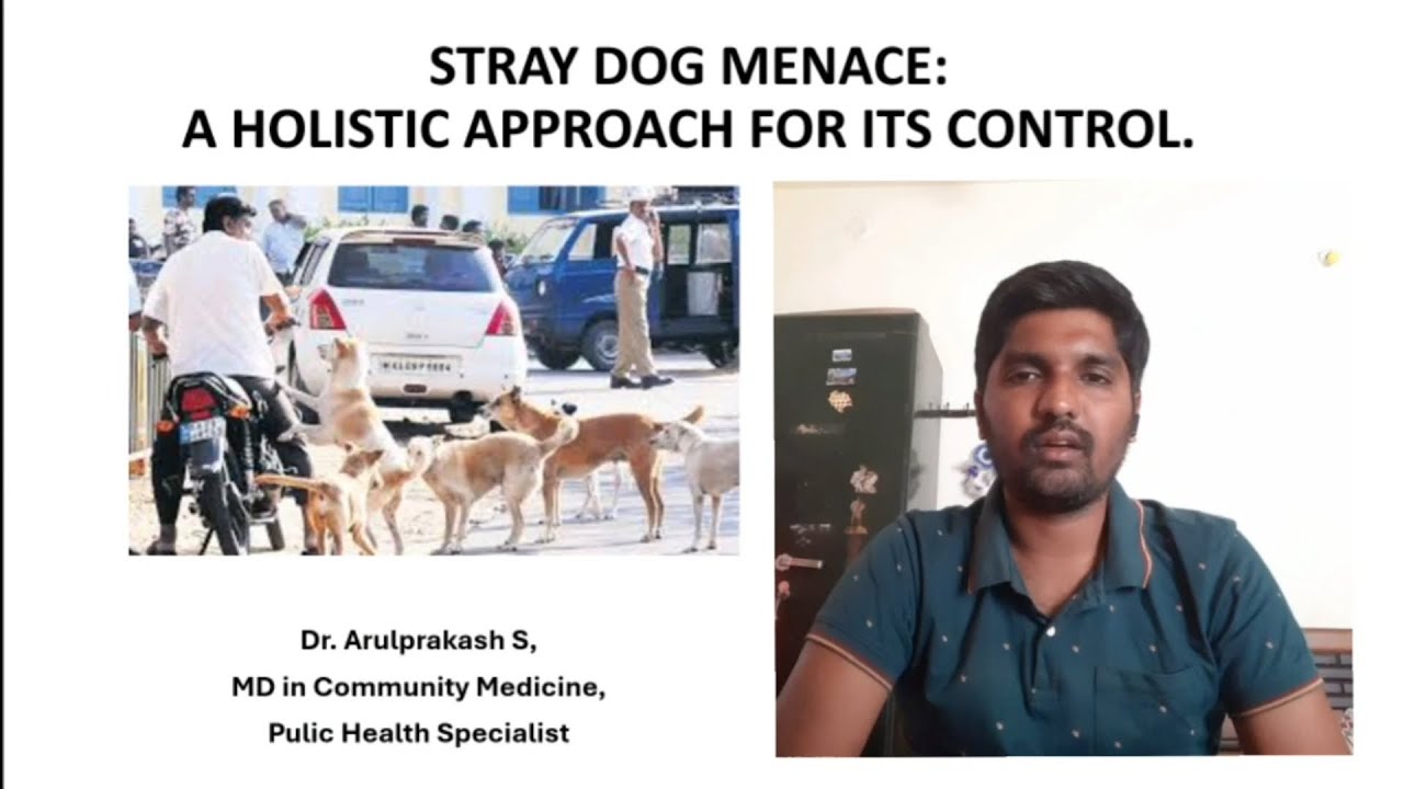 STRAY DOG MENACE: A HOLISTIC APPROACH FOR ITS CONTROL - YouTube
