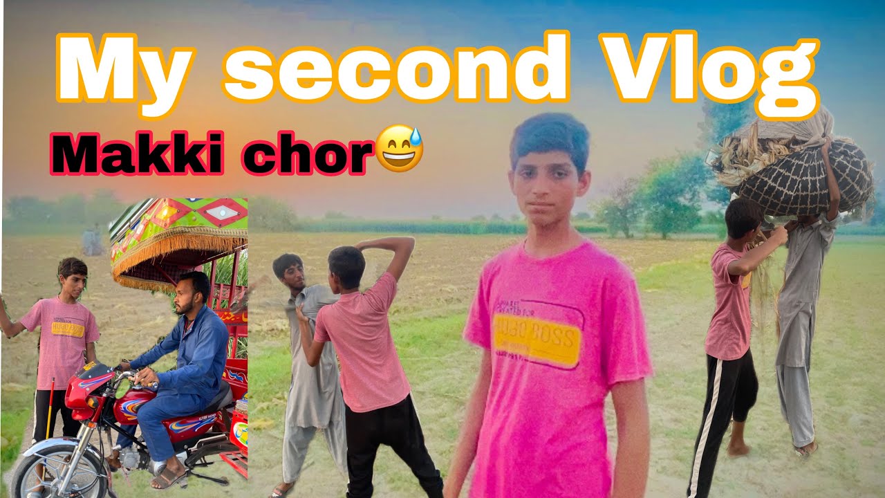 My second Vlog Malik chor 😠😲 subscribe me more video 😲 - YouTube