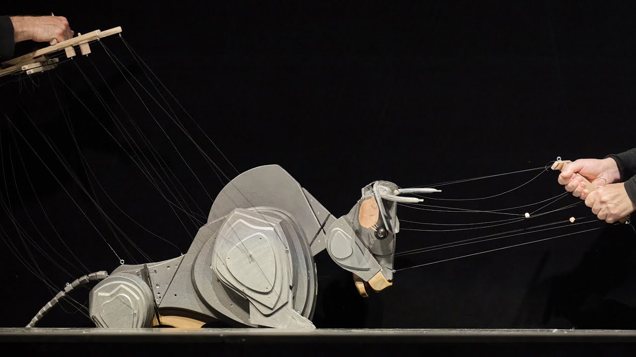 Ferdinand, der Stier – Karneval der Tiere. Eine animalische Trilogie ...