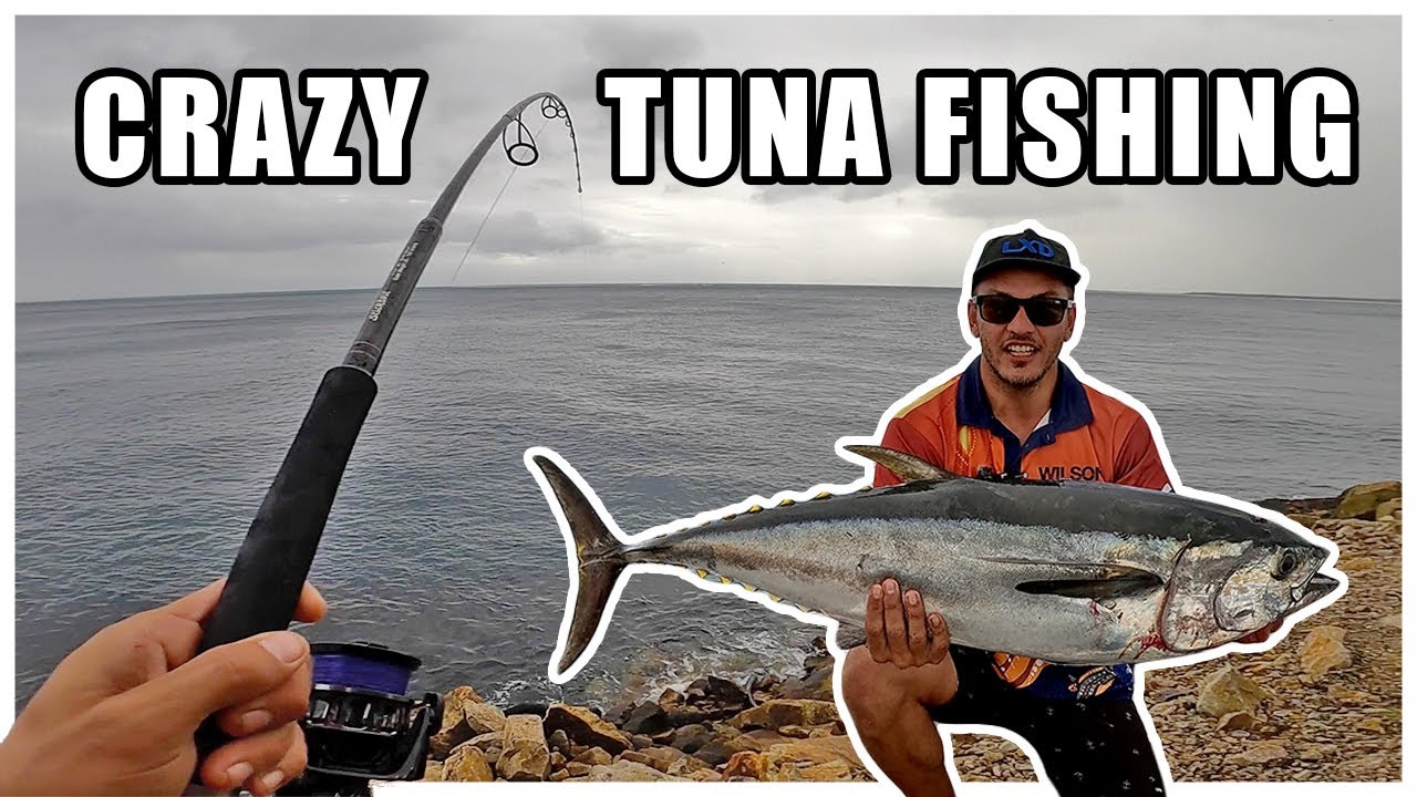 INSANE Tuna Fishing (Boat & Landbased) | Fishing CRAZY Bait balls ...