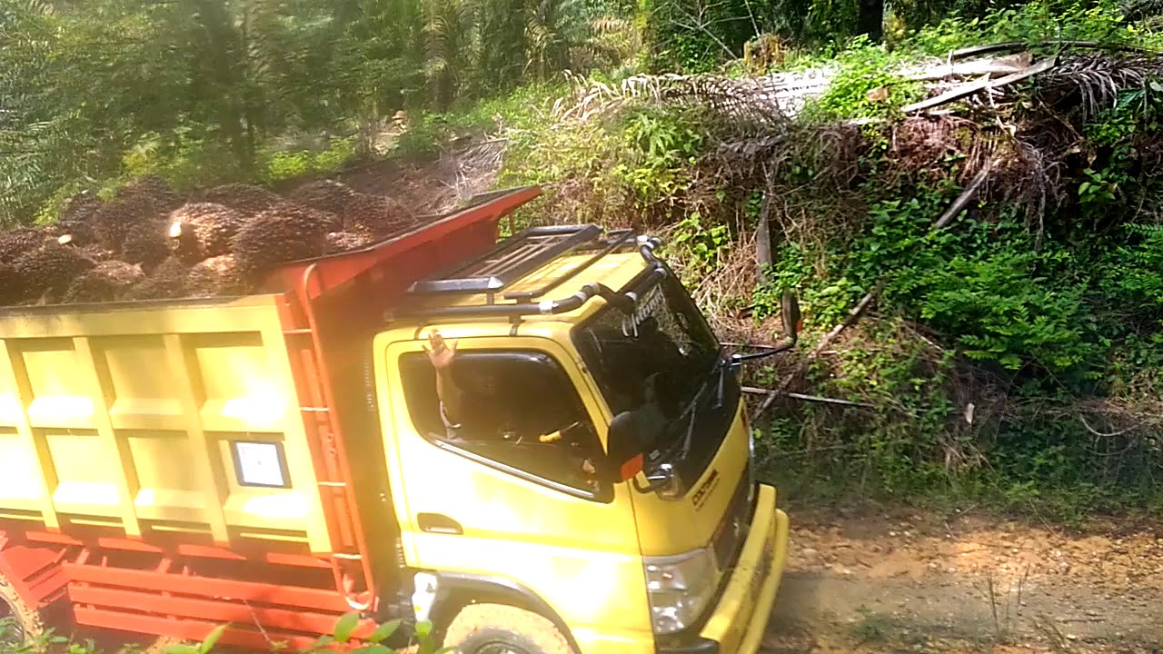 Mobil renjer vs kepala petak. - YouTube