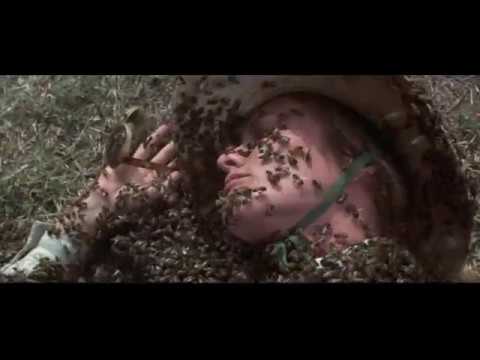 The Swarm (1978)- No Picnic