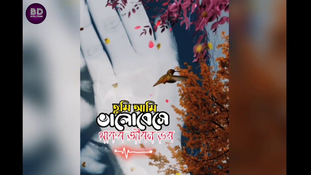 Tumi Ami Valobese Thakbo Jibon Vor | তুমি আমি ভালোবেসে থাকব জীবন ভর ...