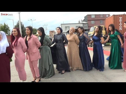 Şerizdin Halayı 2024 - Bu Oyunu Çok Seveceksiniz - Harika Kürtçe Halay