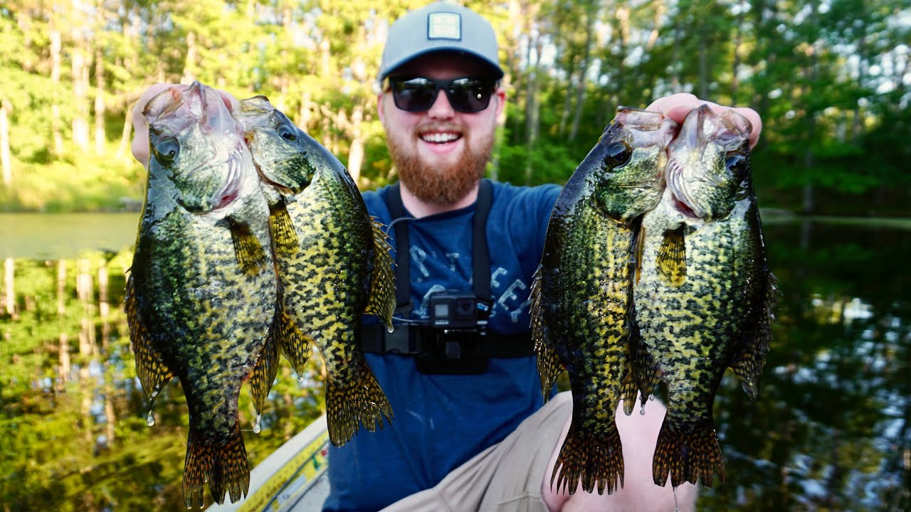 Summer Crappie Fishing Back-Woods Secret Lake! (Insane Action!) - YouTube